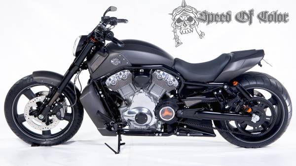 V-ROD Muscle | Galerie | SPEED of COLOR