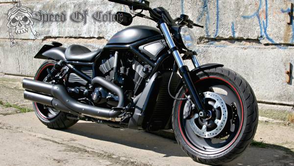Night Rod | Galerie | SPEED of COLOR