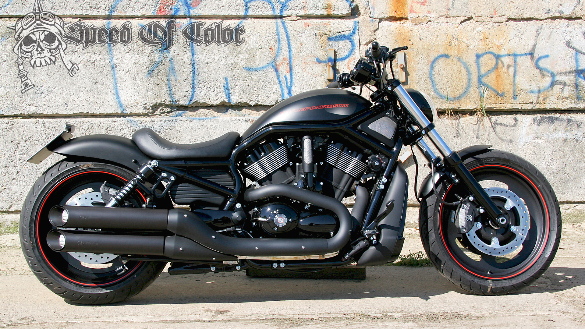 Night Rod | Galerie | SPEED of COLOR