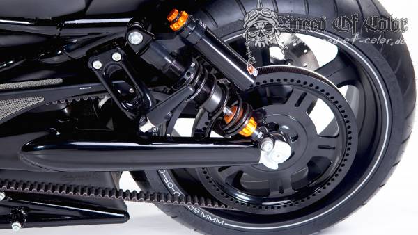 V-ROD Muscle | Galerie | SPEED of COLOR